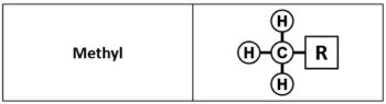 6.2. Functional Groups – BIO130: Introduction to Physiology