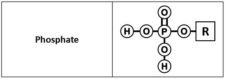6.2. Functional Groups – BIO130: Introduction to Physiology
